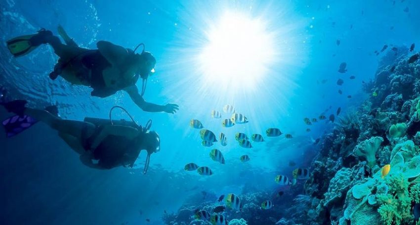 Best All Inclusive Dive Resorts [for 2026] | Best All Inclusive