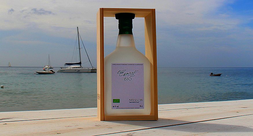 Health Nuts and Rum Nuts Toast Organic Rum | Best All Inclusive